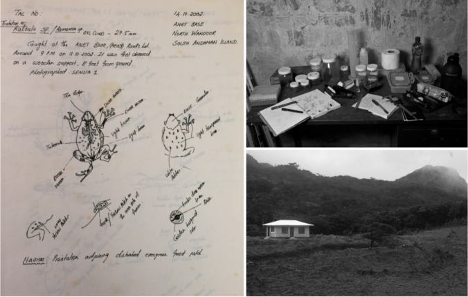 What are Field Stations and Why do Ecologists Need Them? – Connect with ...