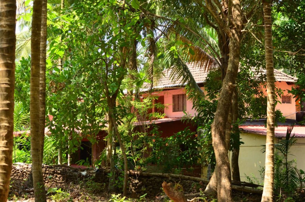 What are Field Stations and Why do Ecologists Need Them? – Connect with ...