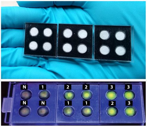 From pipette to patient: Tools for better disease diagnosis – Connect ...