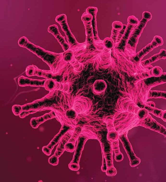 Malaria – Connect with IISc