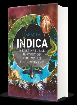 Terra Indica: Decoding Pranay Lal’s books – Connect with IISc