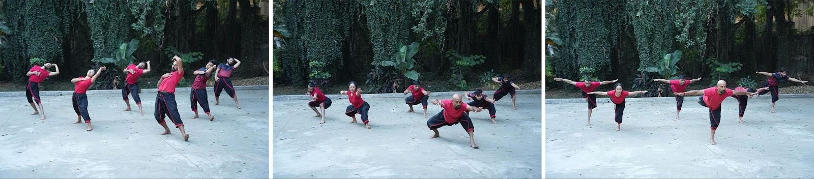 Dancing with Sticks and Swords – Connect with IISc